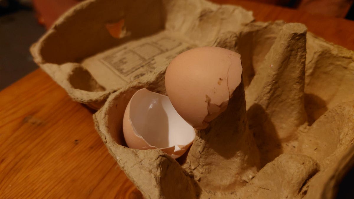 The Last Egg. A golden yolk. A glistening white. Fry… | by Matt ...