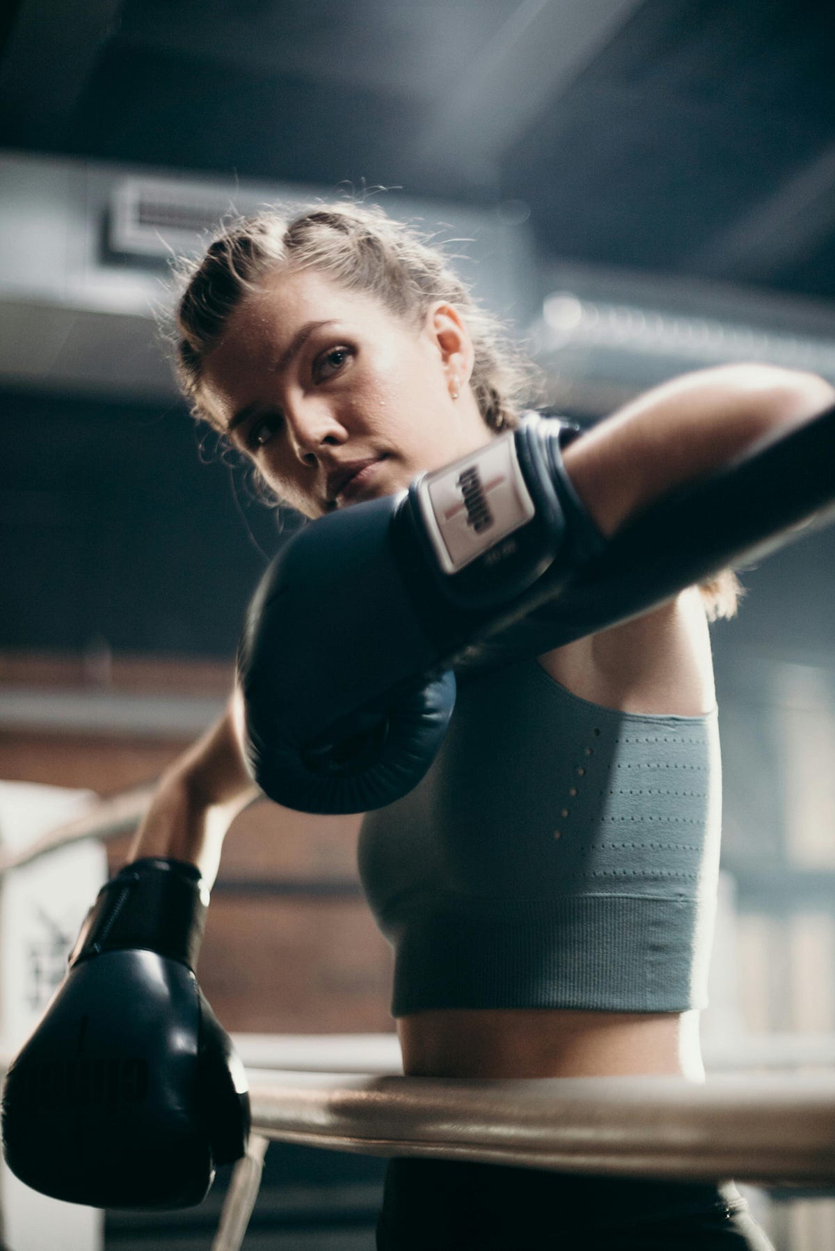 Boxer Revival 2024