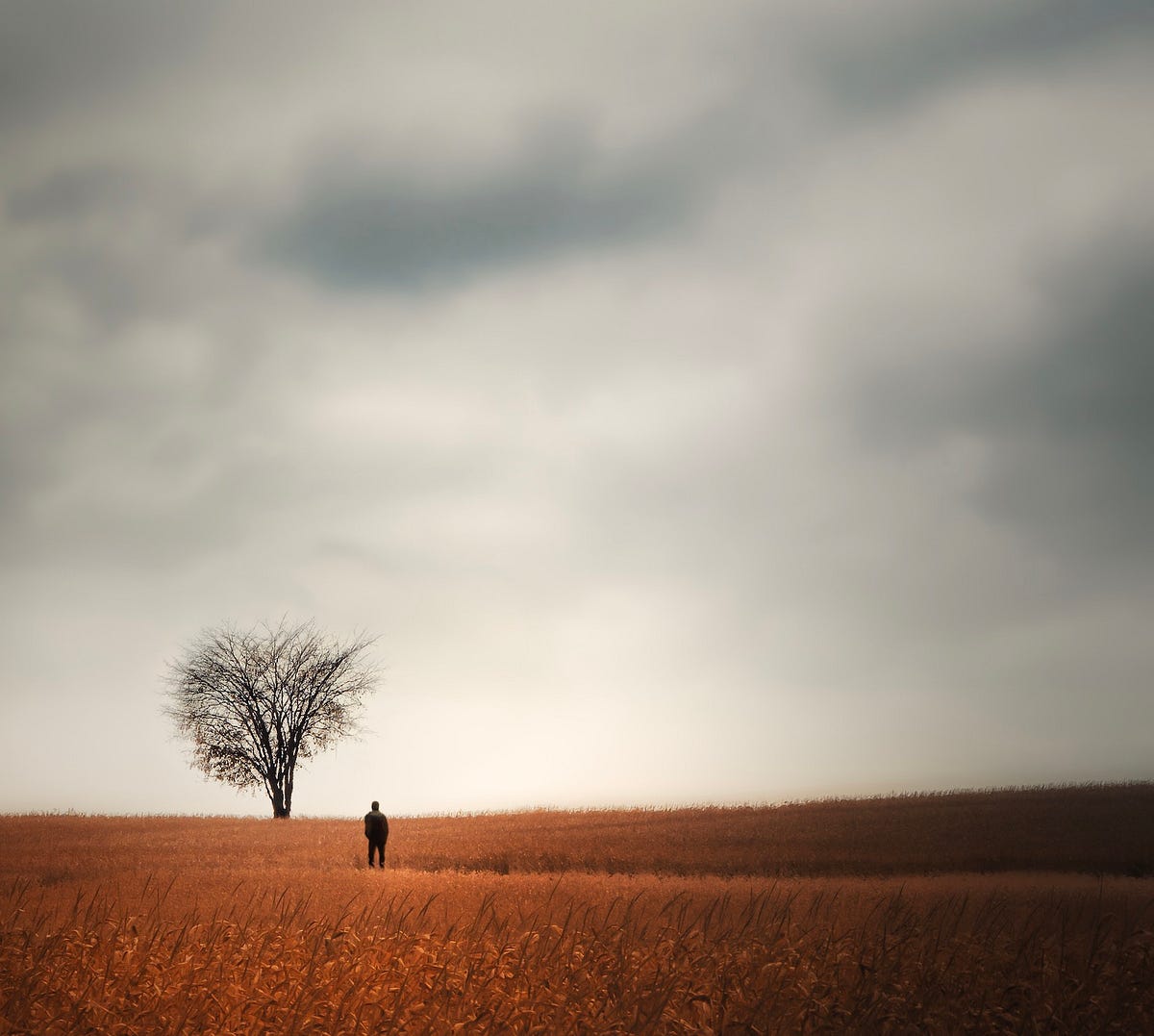 A Stoic Mantra to Give You Strength When Everything Is Going Wrong | by ...