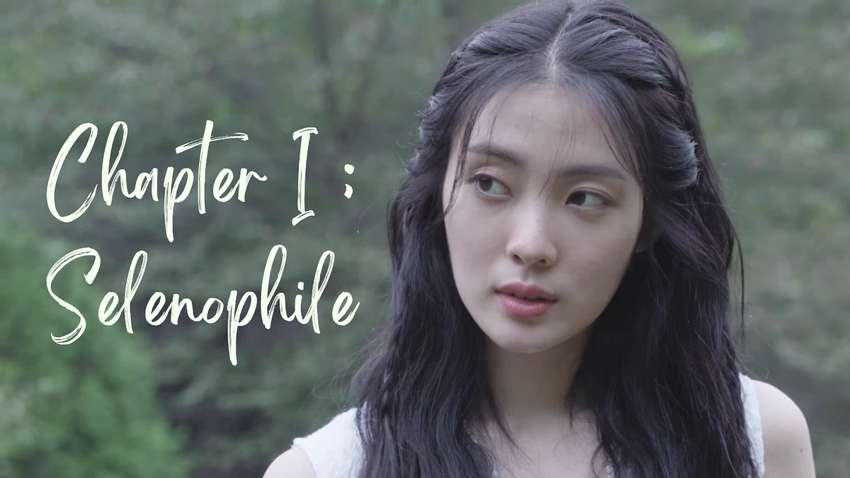 Chapter I ; Selenophile. Setelah melalui berbagai situasi yang… | by ️ ...