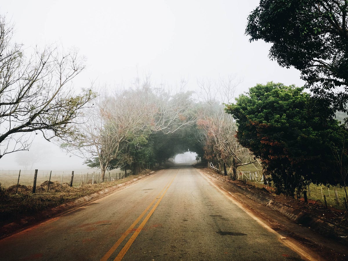 About those afternoons of any ordinary day | by Alinne Rezende | Medium