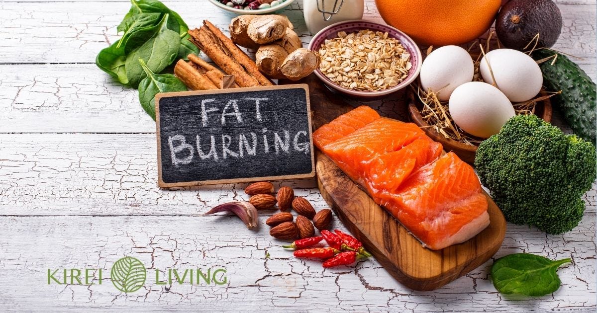 Fat-Burning Hack: A Introduction to Intermittent Fasting | by Kirei ...