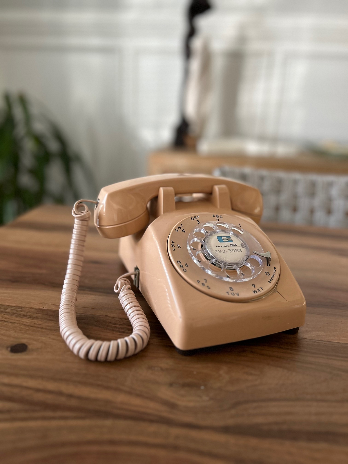 My Dead People Phone. To cope with the human condition I dial… | by Nic ...