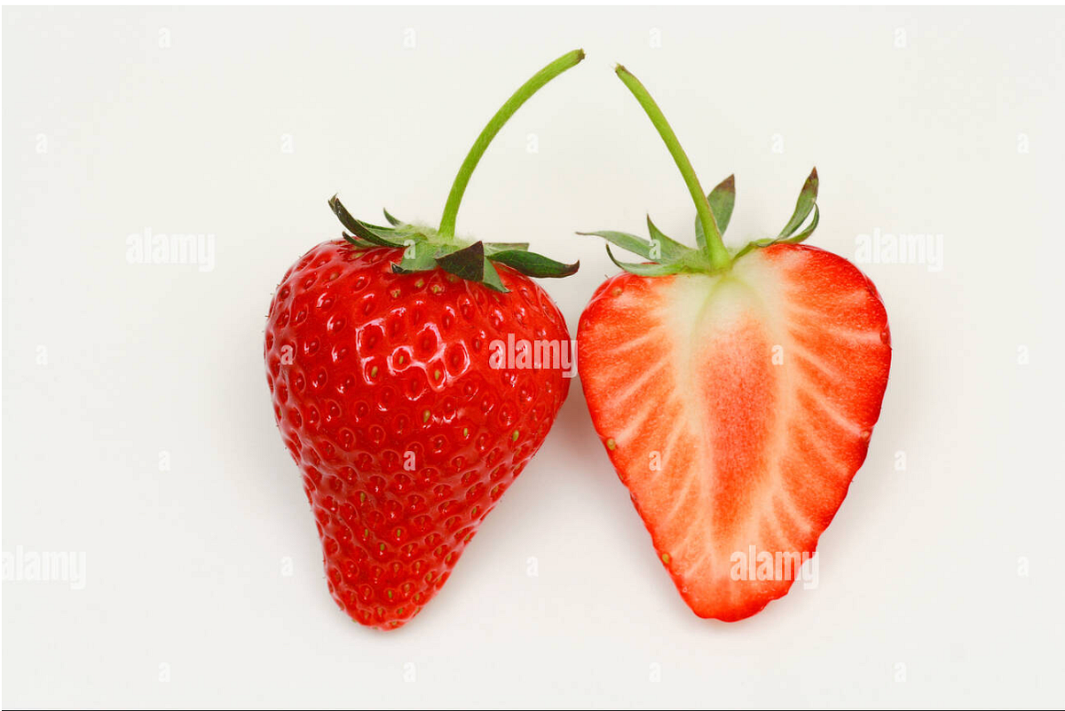 Polar Equations Project: Strawberry | by Ryan Tang | Beauty in ...