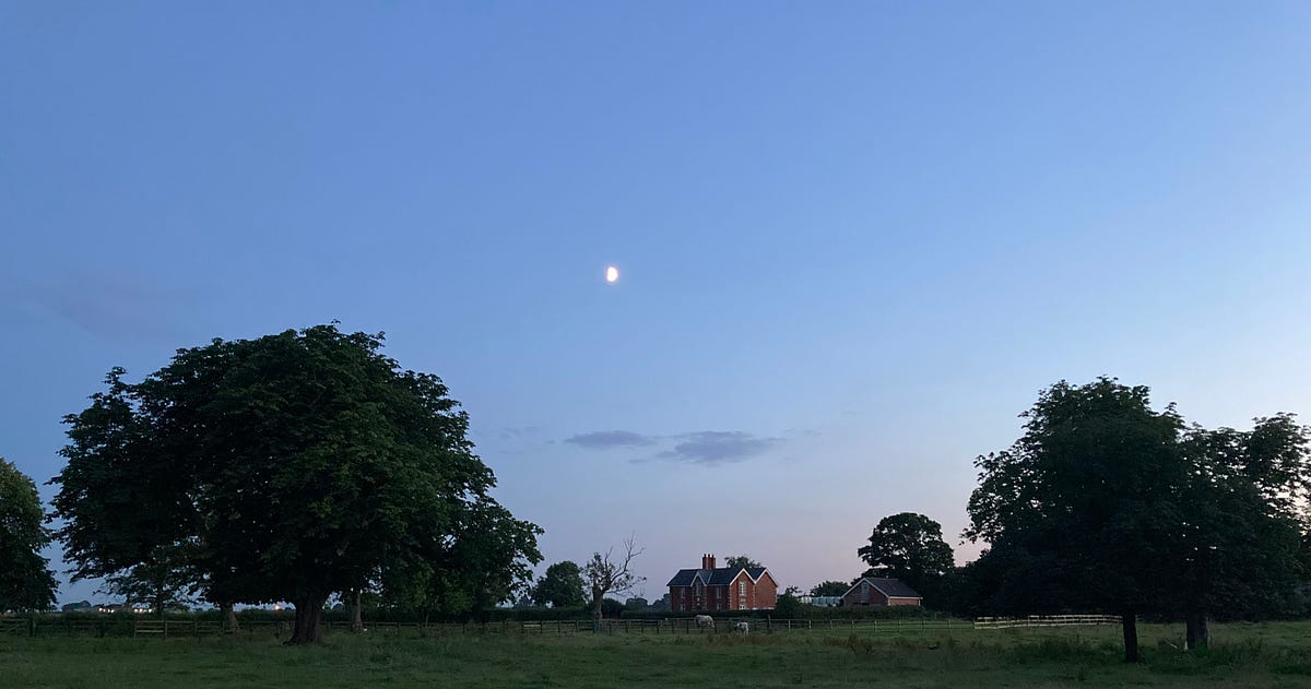 Just Before Dusk - SNAPSHOTS - Medium