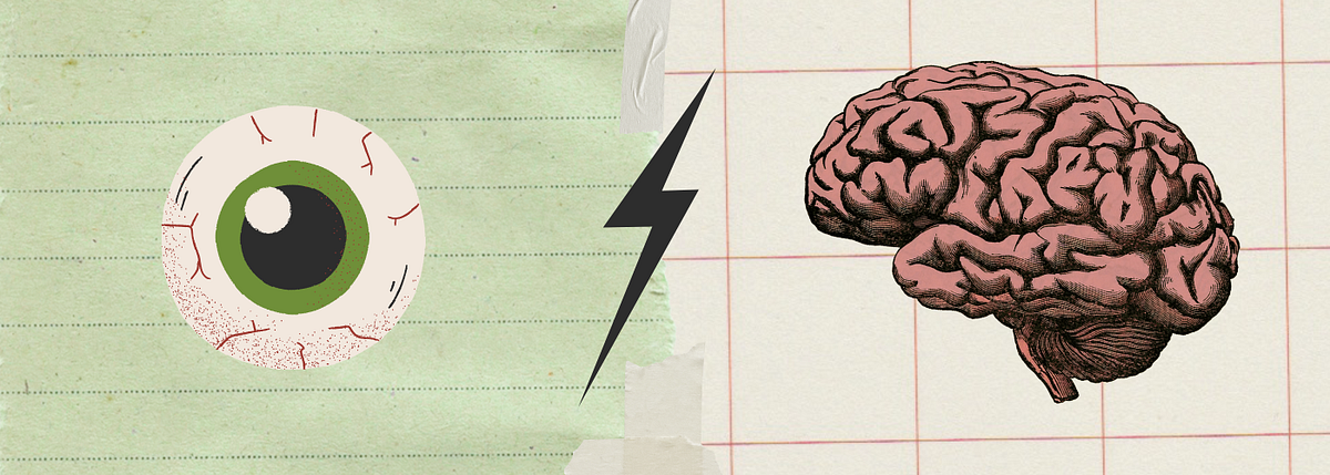The Brain vs. the Eye: A Scientific Anatomy of Visual Hierarchy | by ...