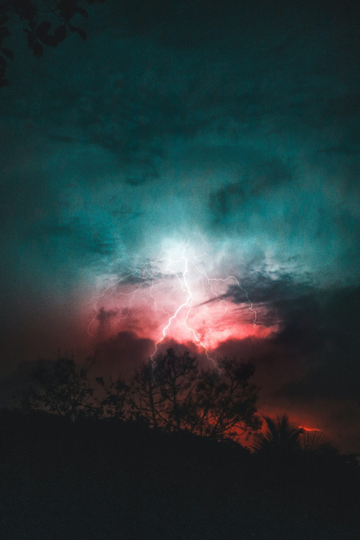 Everything is Poison, Everything is Medicine | by John K Adams | The ...