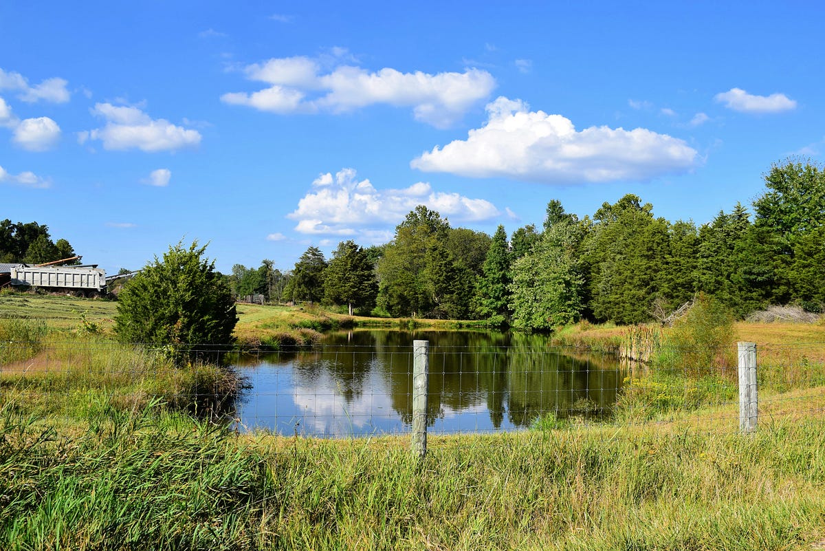 Bioavailability of water nutrients (nitrogen and phosphorus) pollution ...