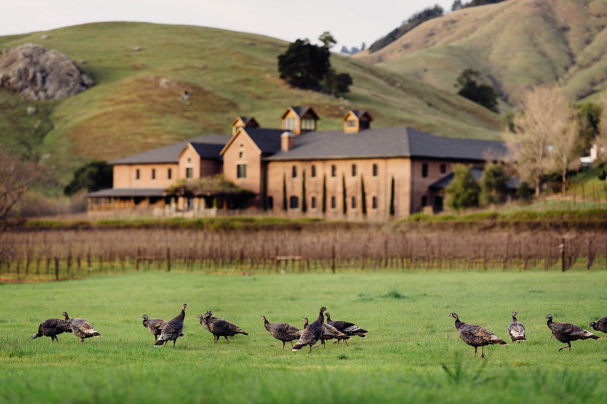 Sonic Storytelling: Go Beyond the Gates of Skywalker Ranch to the Heart ...