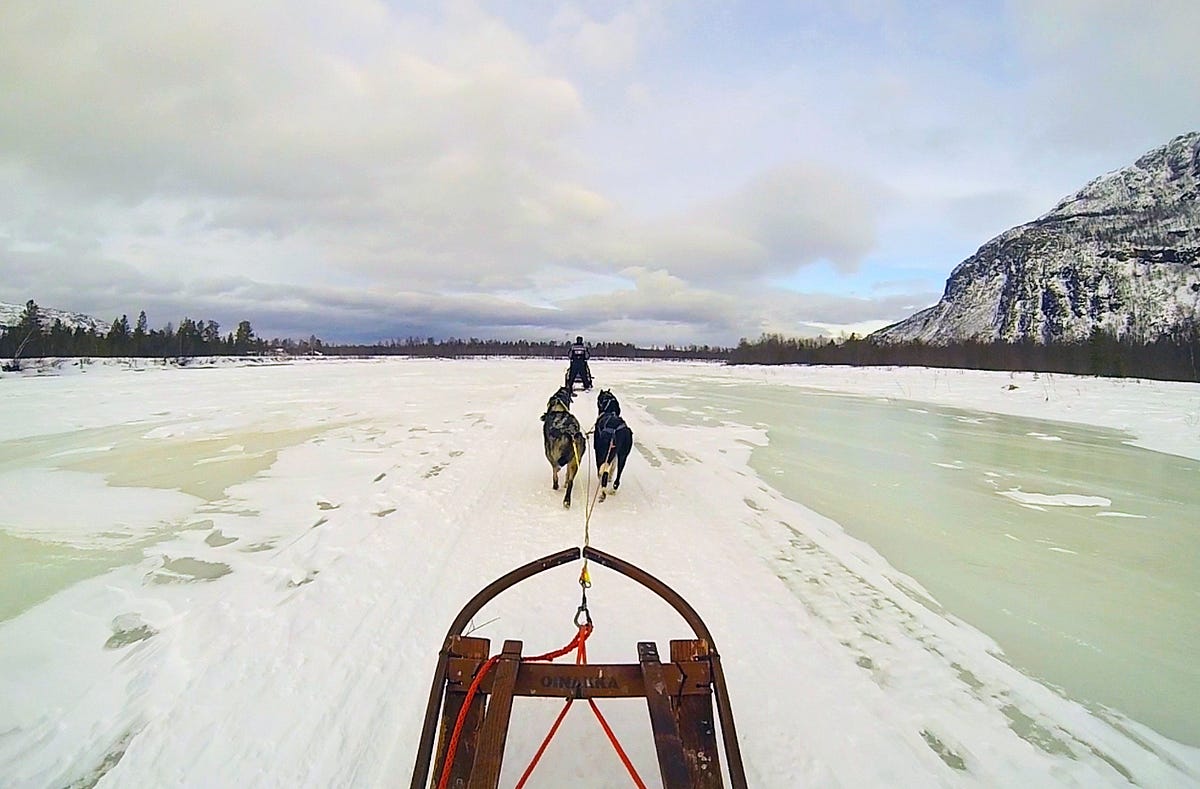 9 lessons mushing taught me about teamwork | by Jeremy LaCroix | Medium