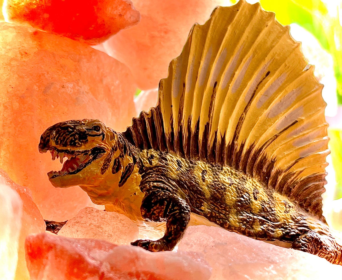Himalayan Pink Salt, The Flavor of Mass Extinction | by Joelle Marlin ...