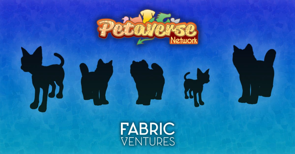 Why we Invested in the Petaverse Network | by Fabric Ventures | Fabric ...