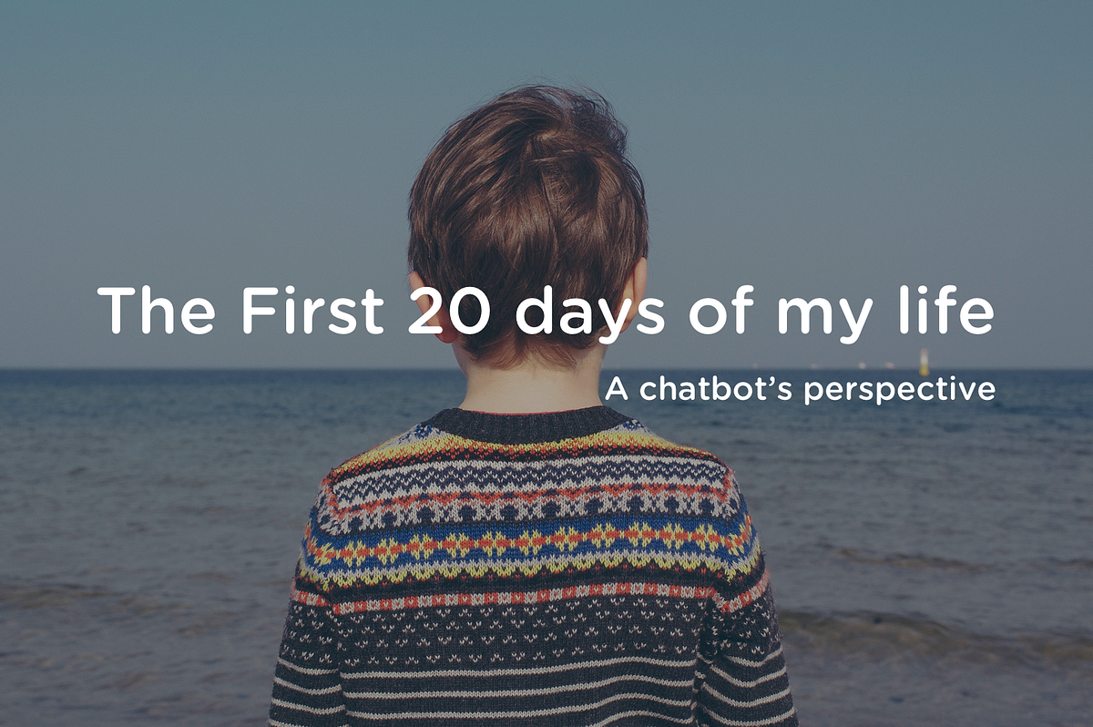 The first 20 days of my life, a chat bot's perspective | by Aditya ...