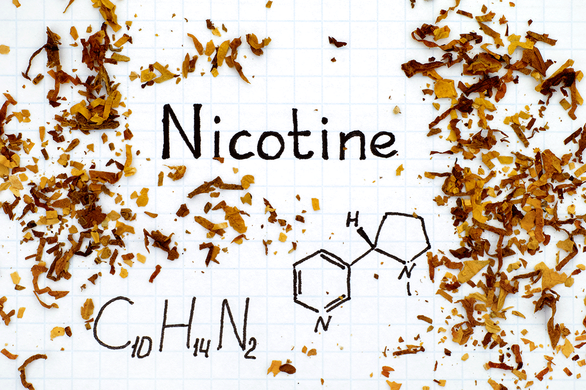 The Magical Realm of Nicotine. In a dystopian reality that unfolds day… | by Steph | Medium
