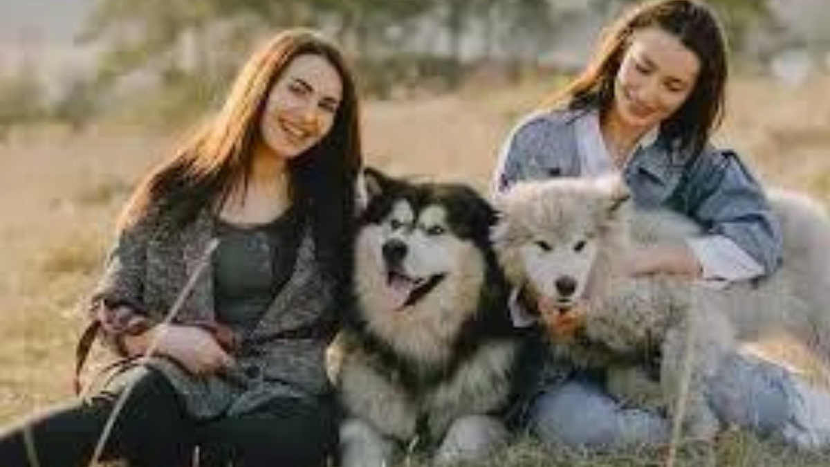 The Unwavering Bond Between Humans and Their Canine Companions ...