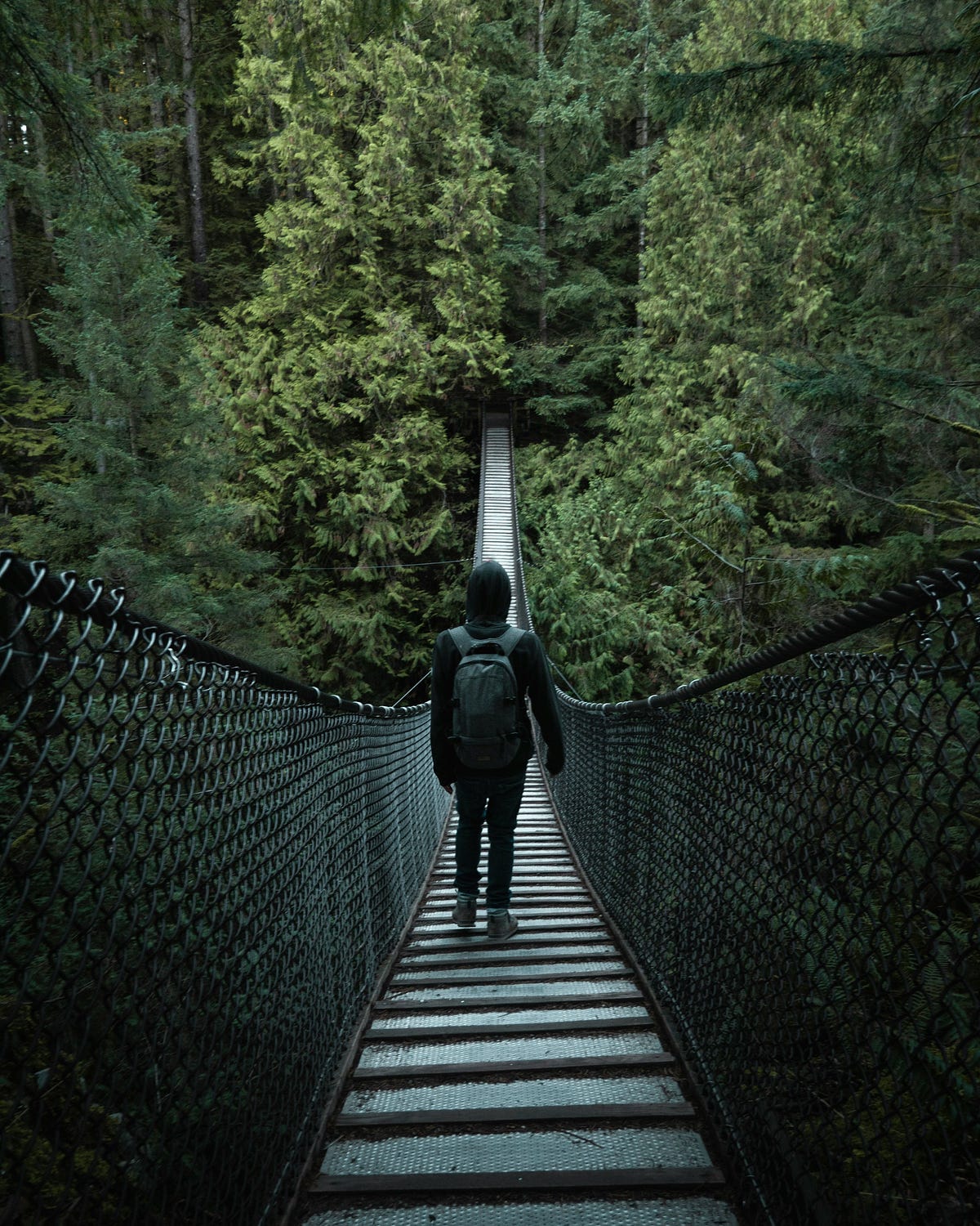 Bridge of Reconciliation. Bridges have always intrigued me, not… | by ...