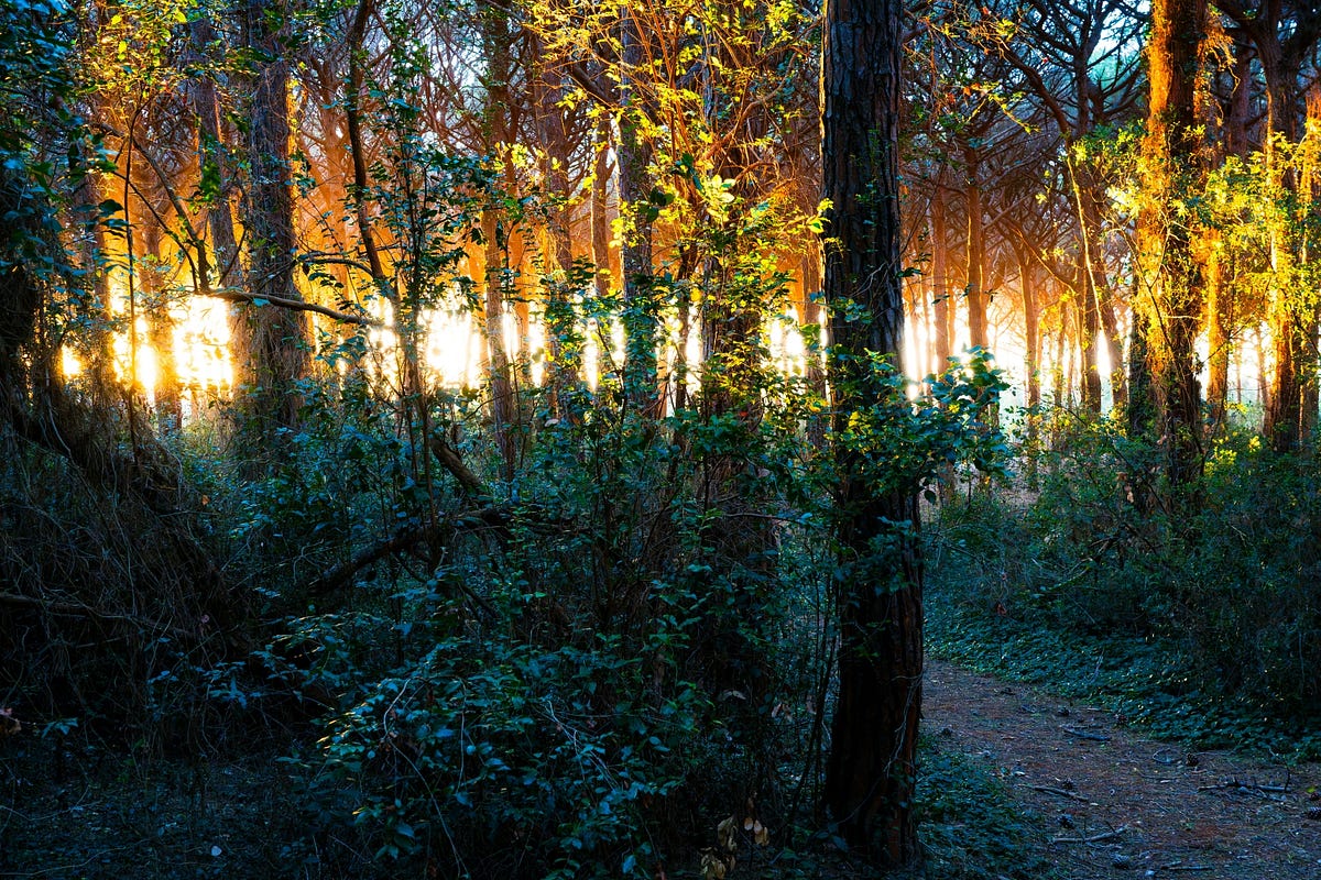 The Moments That Shape Us: Reflections on Turning Points in Life | by ...