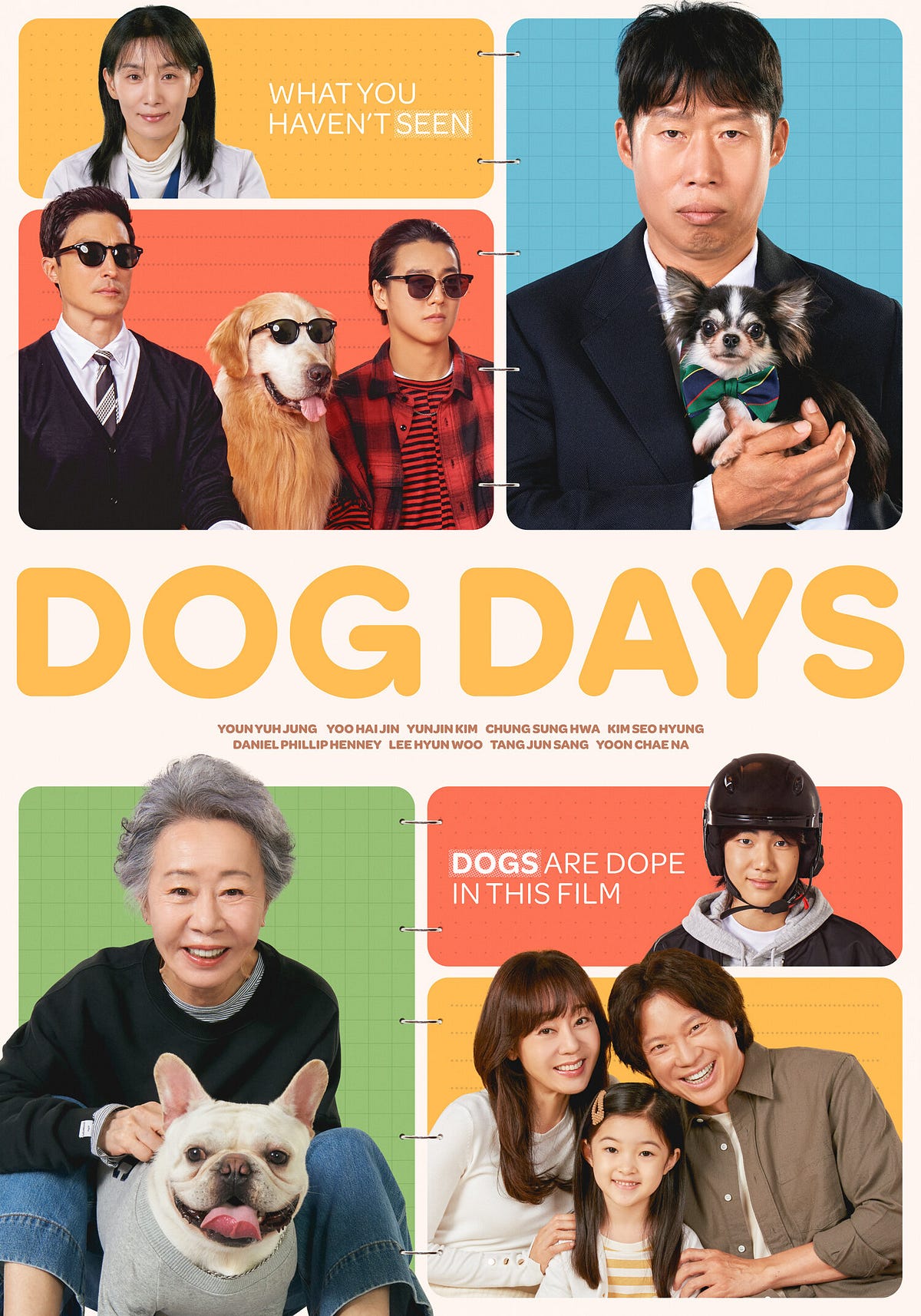 5 Surprising Lessons from ‘Dog Days’ — for Dog Lovers | by ...