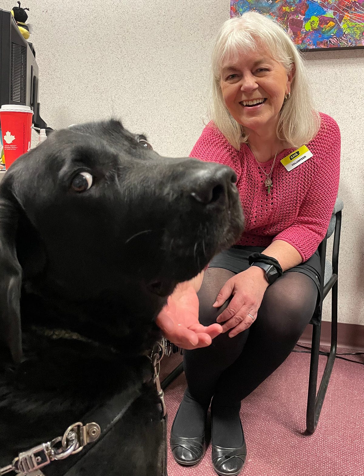 The Dog’s True Confessions. Seven things about Cooper you might not ...