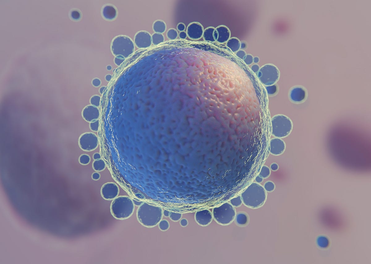 No, Trump Doesn’t Give a Damn About IVF | by Alice Cutler | Life ...