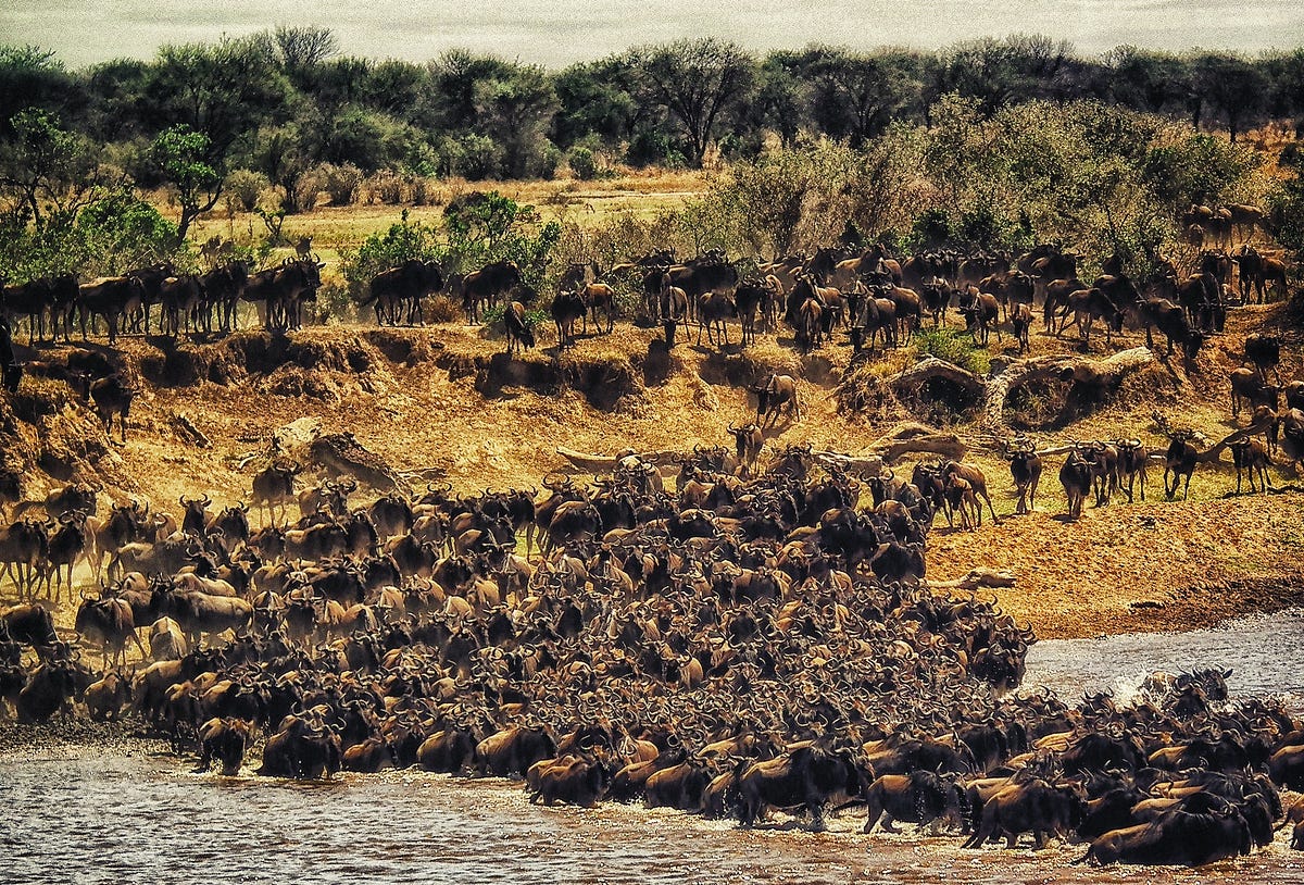 Cache Stampede in Golang. Cache Stampede occurs when many users… | by ...