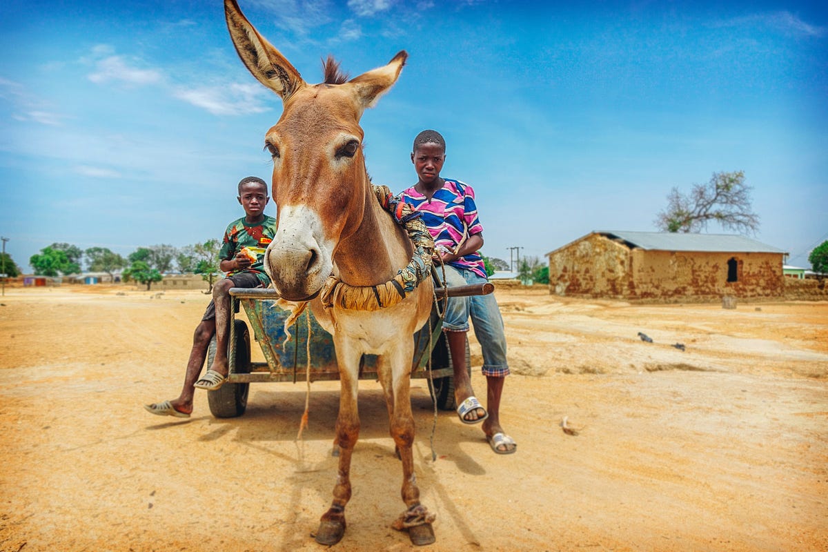 The Man, The Boy, and The Donkey: A Lesson on Critics | by Melissa Chu ...