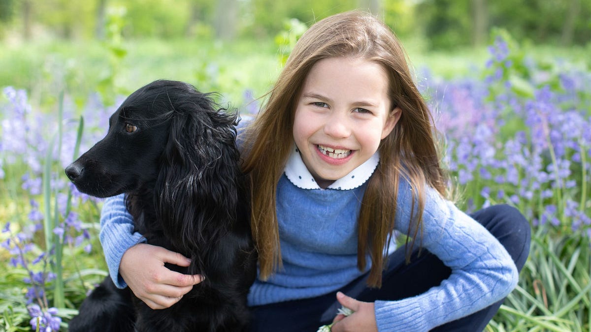Young Billionaires: Unveiling the Top 10 Richest Kids in the World | by ...