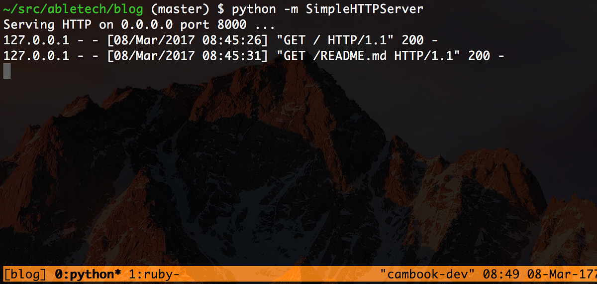 A simple web server. Sometimes it is useful to dish up files… | by ...