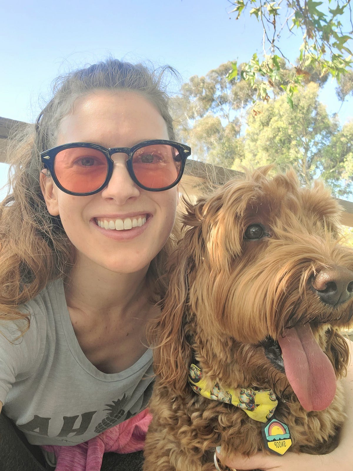 The Furry Connection: Do Pets Impact Your Skin Quality? | by Danielle ...