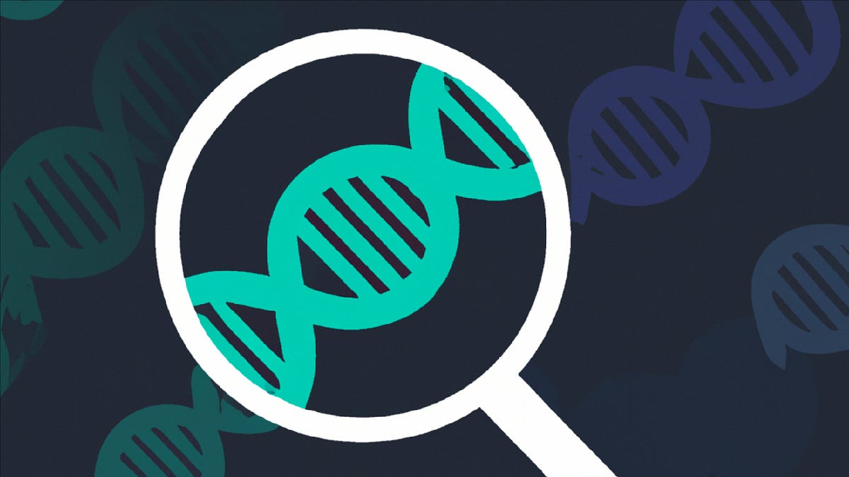 Genetic Algorithm Implementation in Pyamaze Module | by Abiam Asif Khalid | Medium