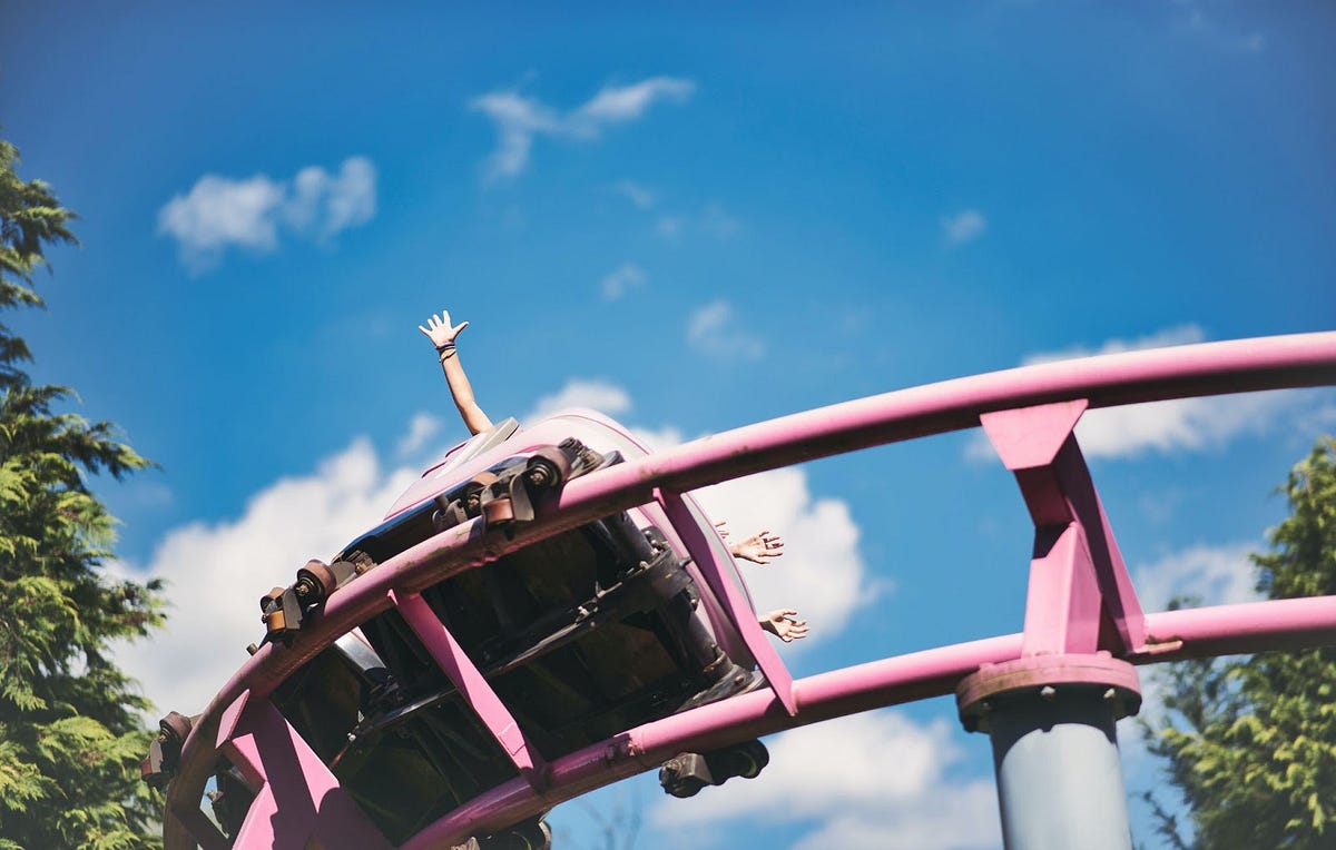 After the Roller-Coaster Ride: Identifying—Together— How Your Team ...