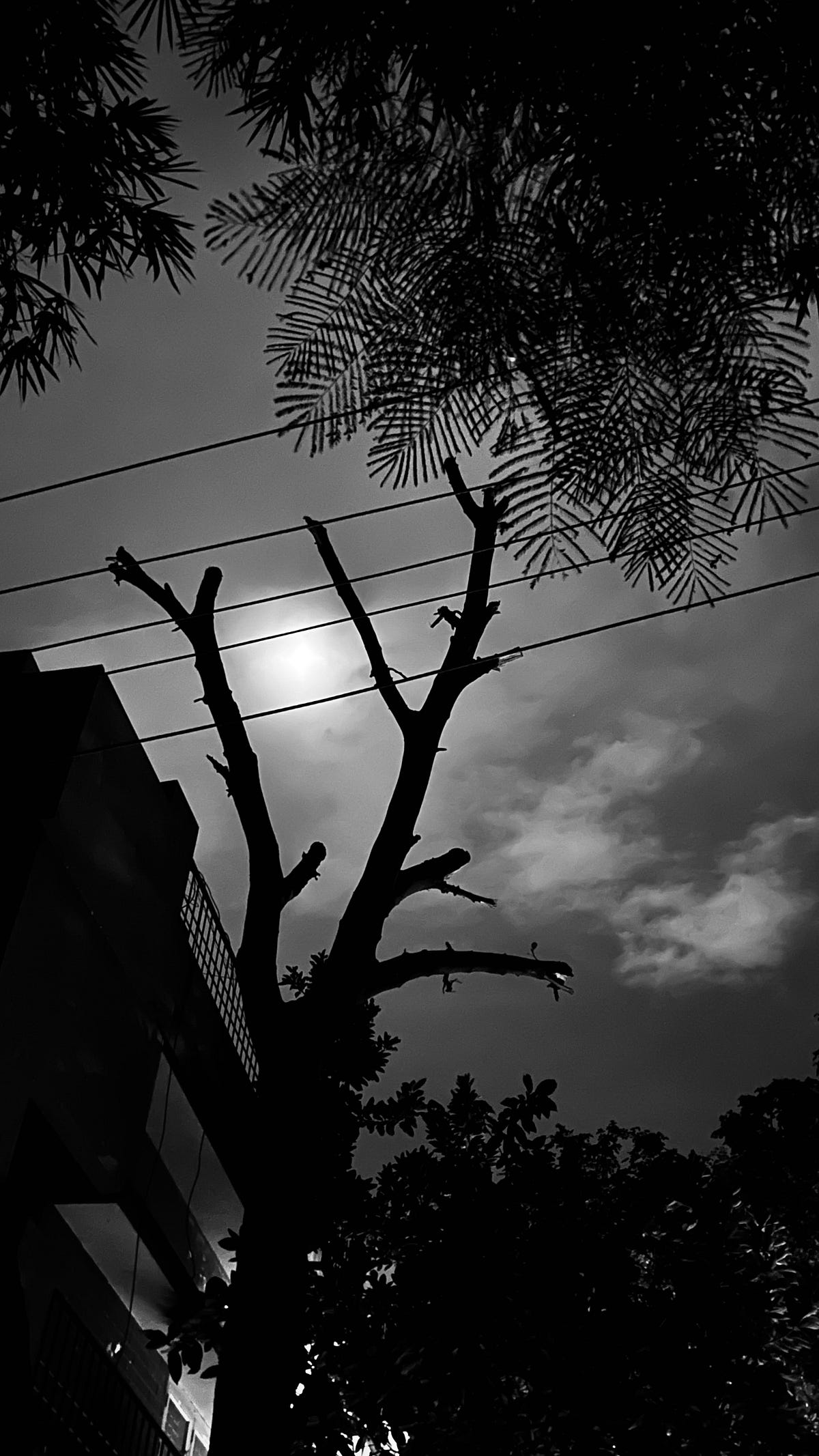 When the Moon Wept in Secrecy. A Night’s Silent Yearning | by Somsubhra Banerjee | Scribe | Medium