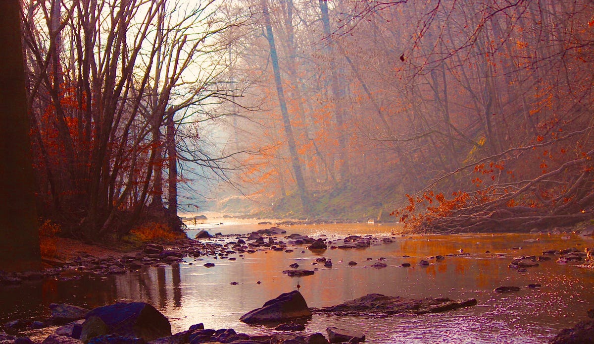 Quiet dawn. Photo.. I took this photo early in the morning… | by ...