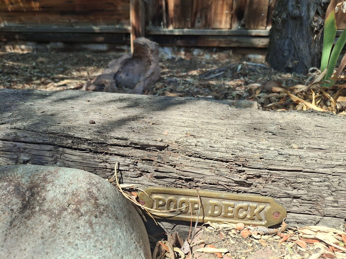 The Poop Deck of My Dreams. Uzi Landsmann asked us, “Tell me your… | by ...
