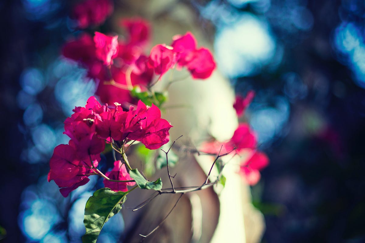 The Cost of Freedom. Footsteps teetering, gentle motions… | by Emma ...