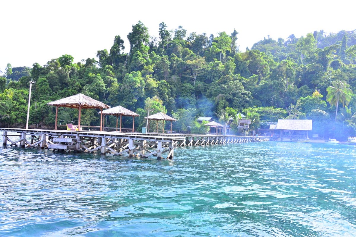 Kwatisore Nabire Papua https://www.kaliber762.com/2023/07/taman ...