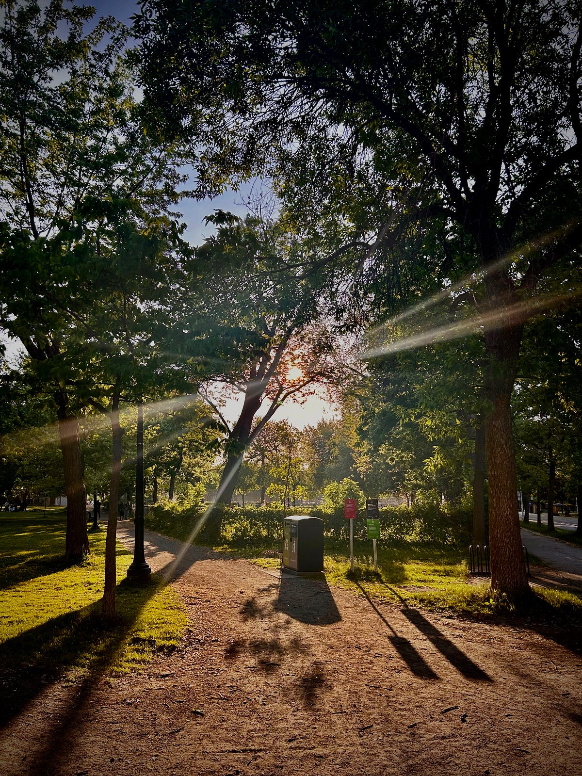 Connection. Think back to a time when you… | by Peter Scanlon | Medium