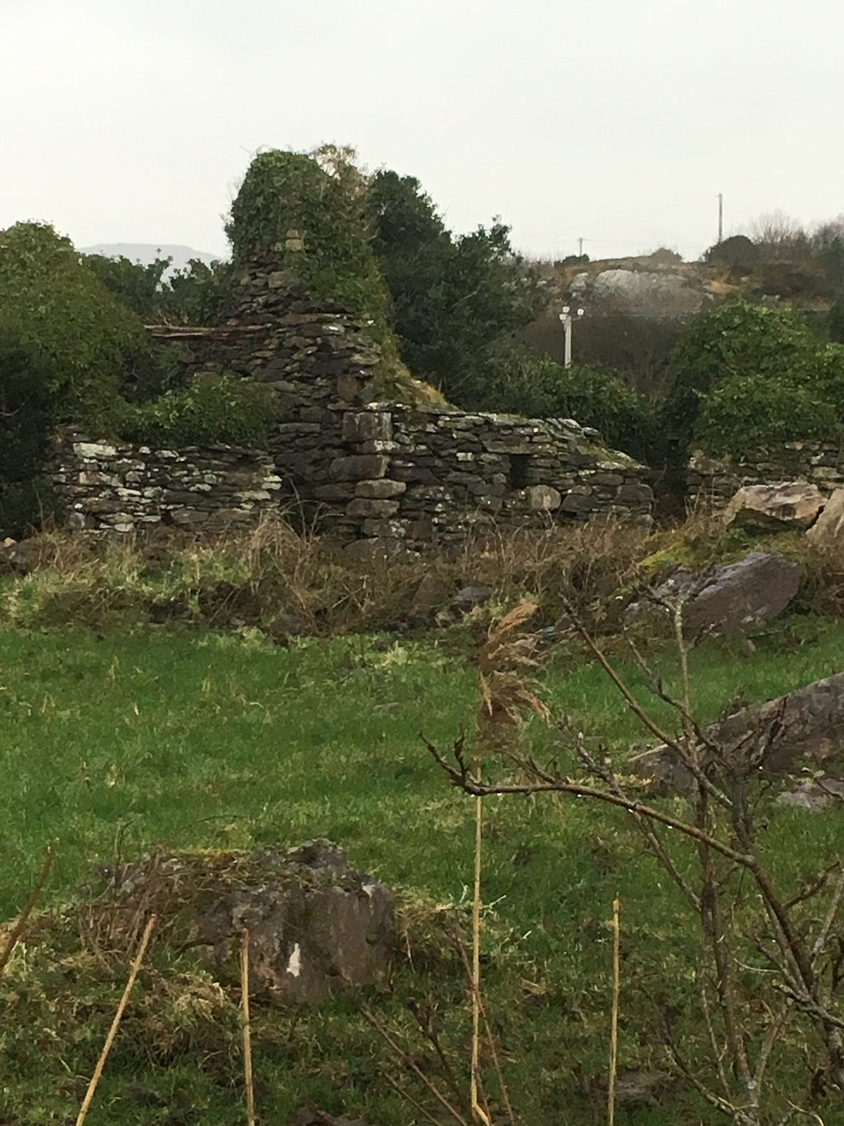 Erin Go Bragh. Ahhhh, the land of my forefathers —… | by Roaming Expat ...