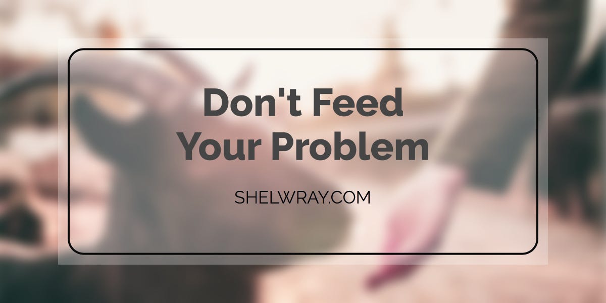 Life Requires Action. Don’t Feed Your Problem. | by Shelby Newsome | Medium