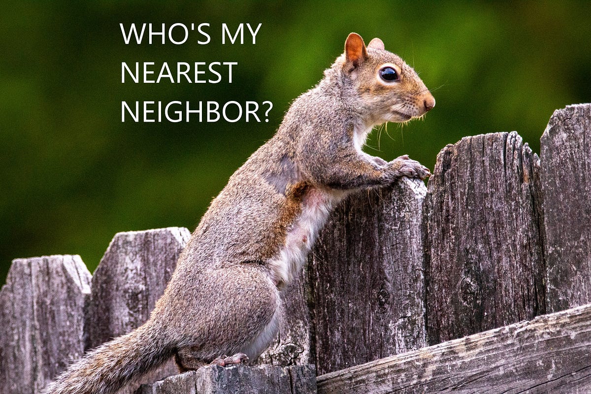 K-Nearest Neighbors (KNN) algorithm | by Vaibhav Jayaswal | Towards ...