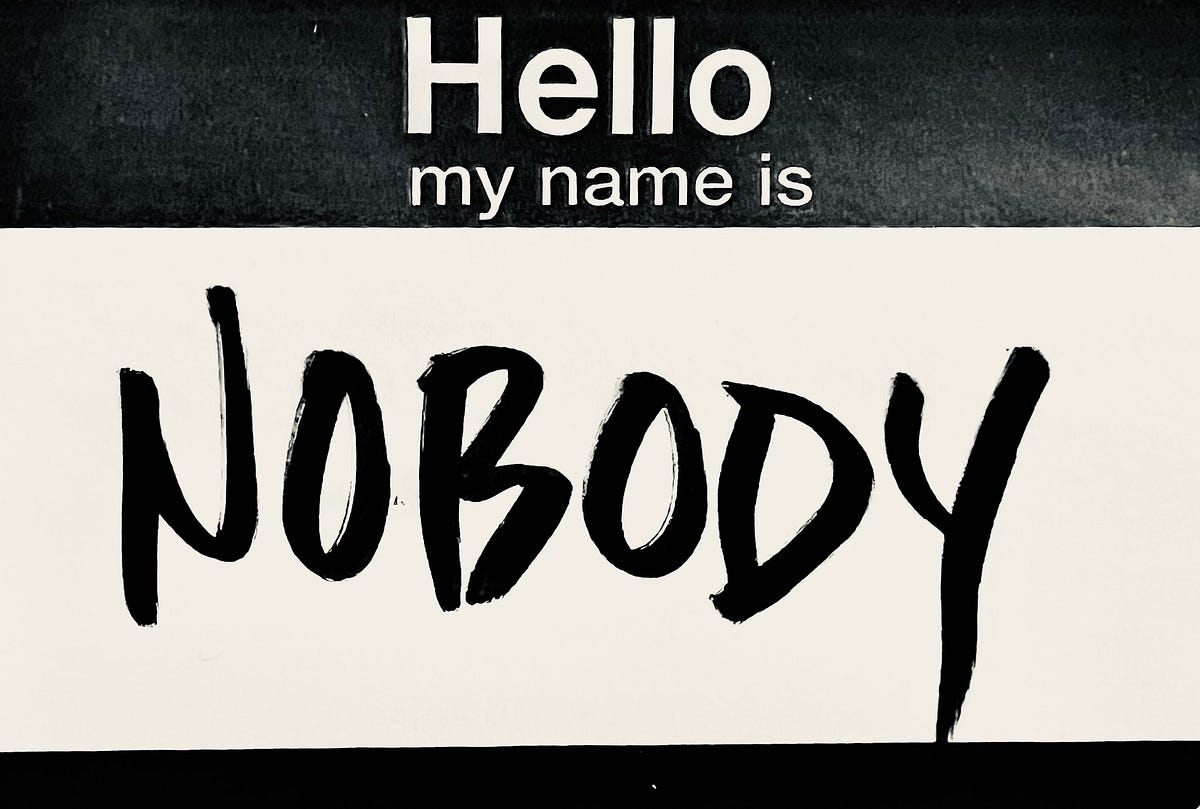 I’m a Nobody, And I Don’t Much Mind | by Nanda Reddy | Medium