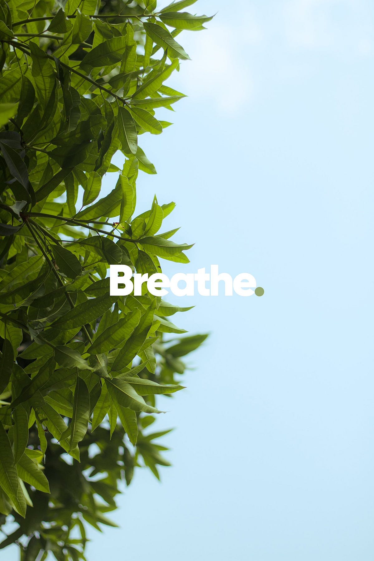 Breathe!. Me, or not? | by Olugboye Mogboluwaga Ayomide 📸🩺🤎 | Feb, 2025 ...