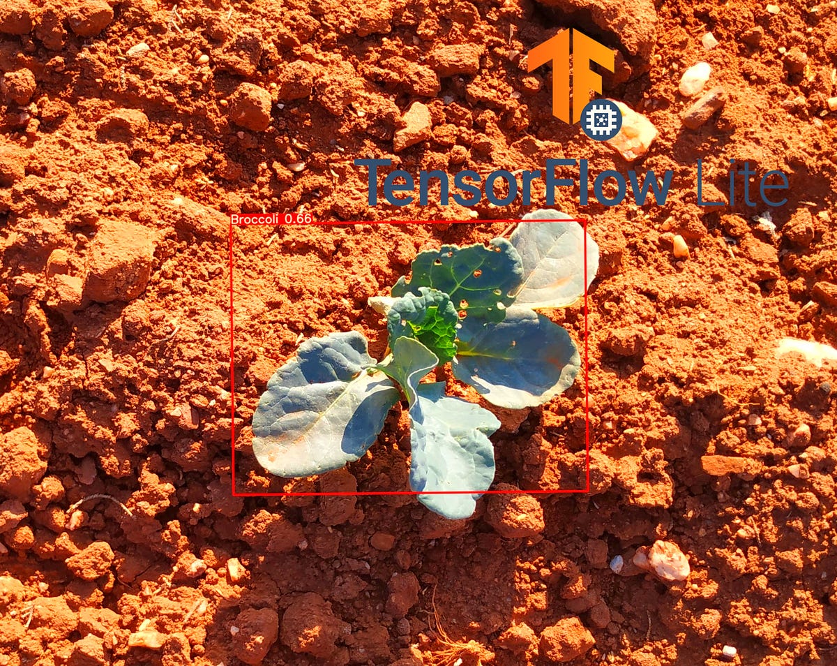 Object Detection at the Edge with TF Lite model maker | Towards AI