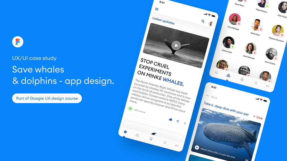 Case study: Save whales & dolphins UX/UI app design (MVP) | by Pushkar ...