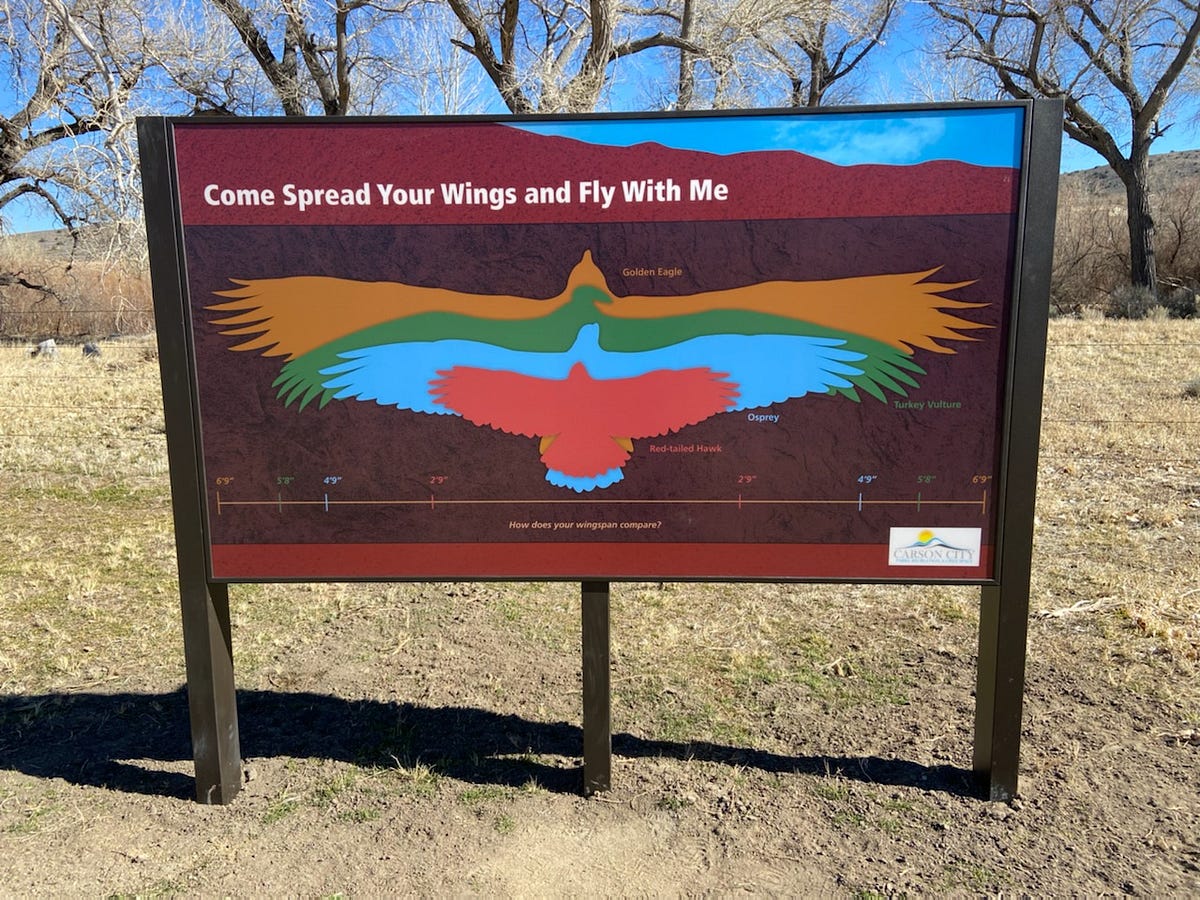 I Have the Wingspan of an Osprey. We found an interactive display along ...