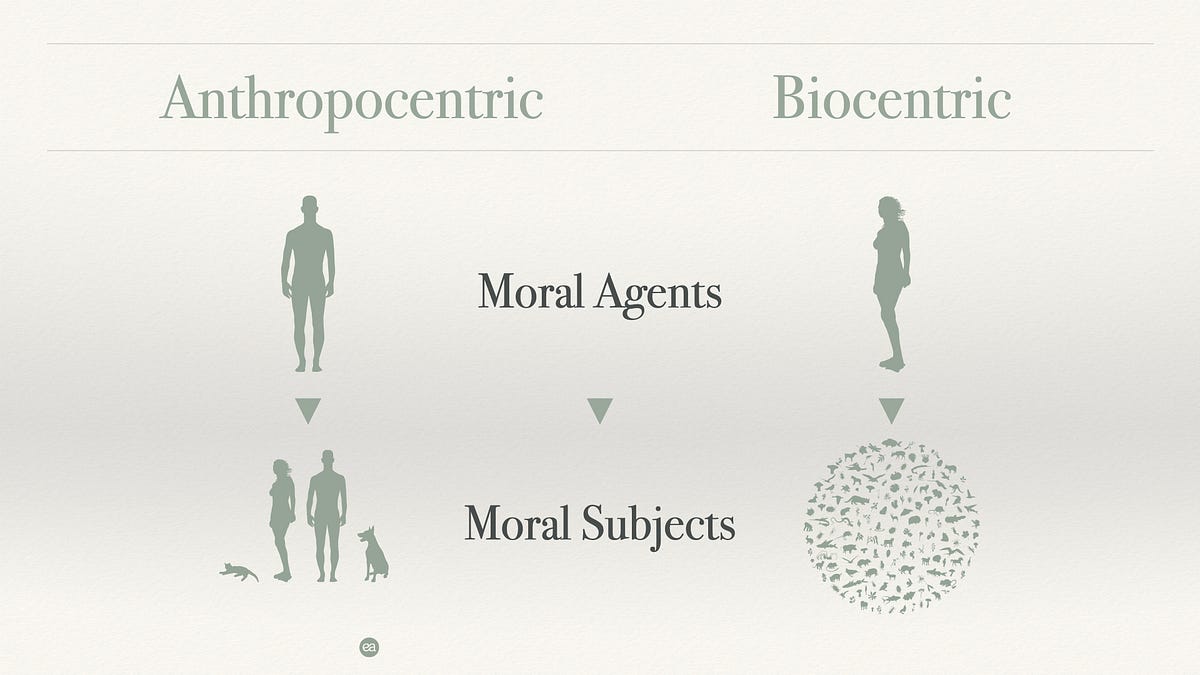 How Ethics in Design Drives Creativity, Passion & Innovation | by Gregory Moulinet | Medium