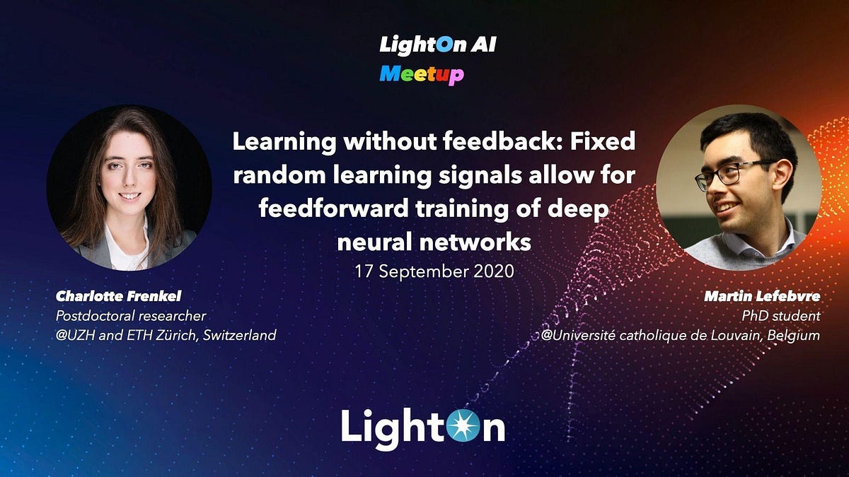 Slash the training cost of your models with random learning signals and without feedback | by ...