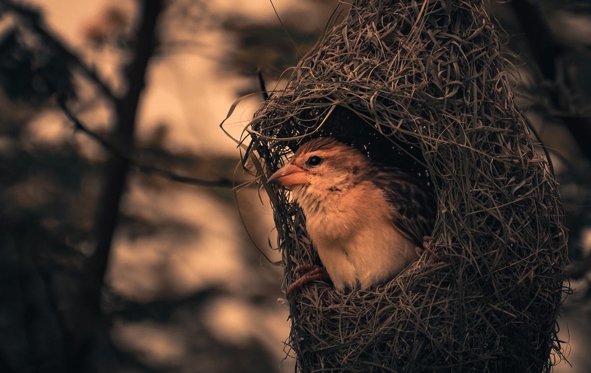 Nested Functions In Javascript Hamzeen Hameem Medium