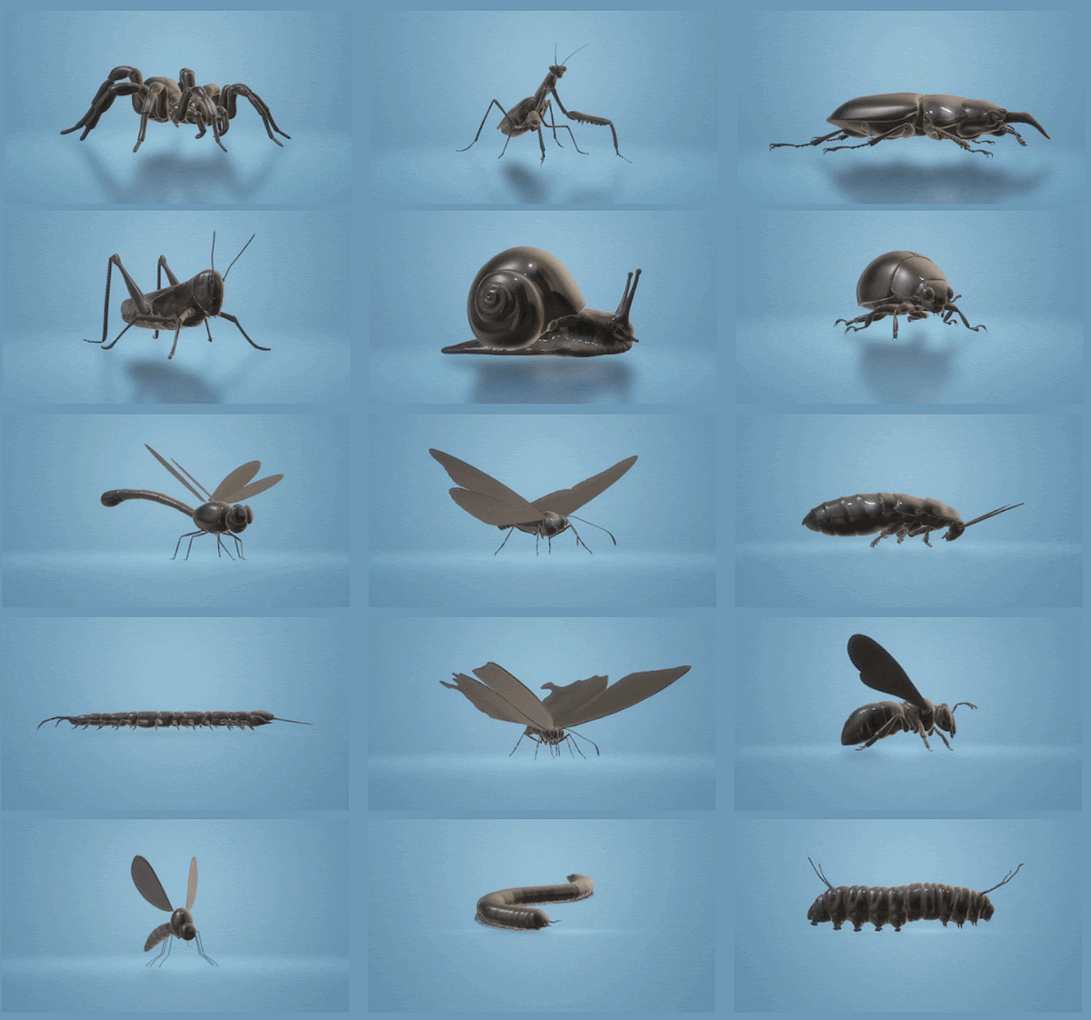 15 Bugs - Dr. Nabil Barr - Medium