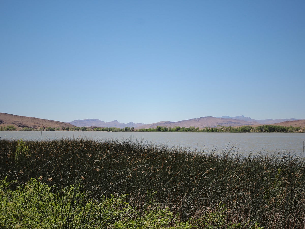 Protection of water has priority over protecting the profits of ...
